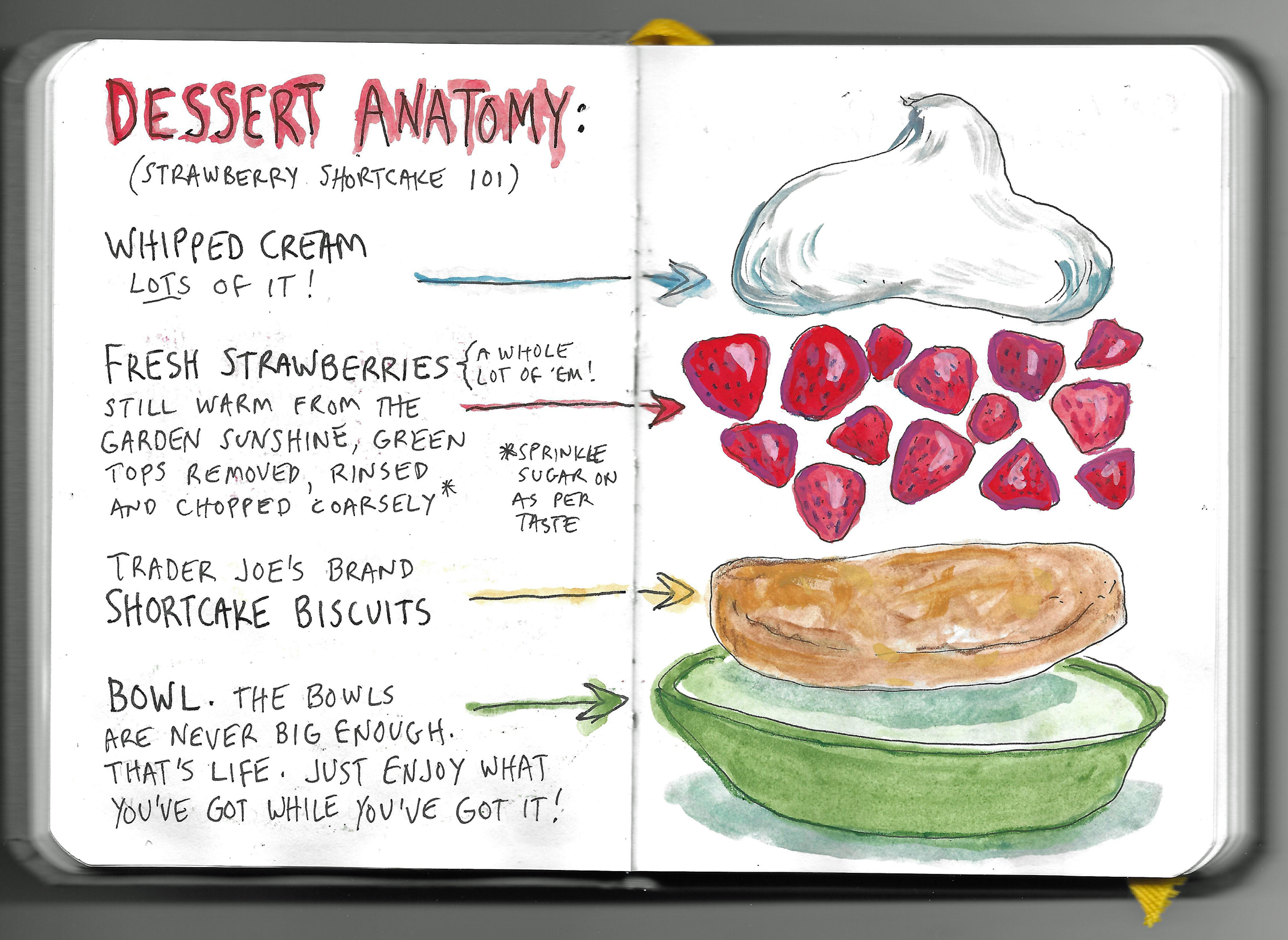 strawberry dessert anatomy – sue clancy – artist